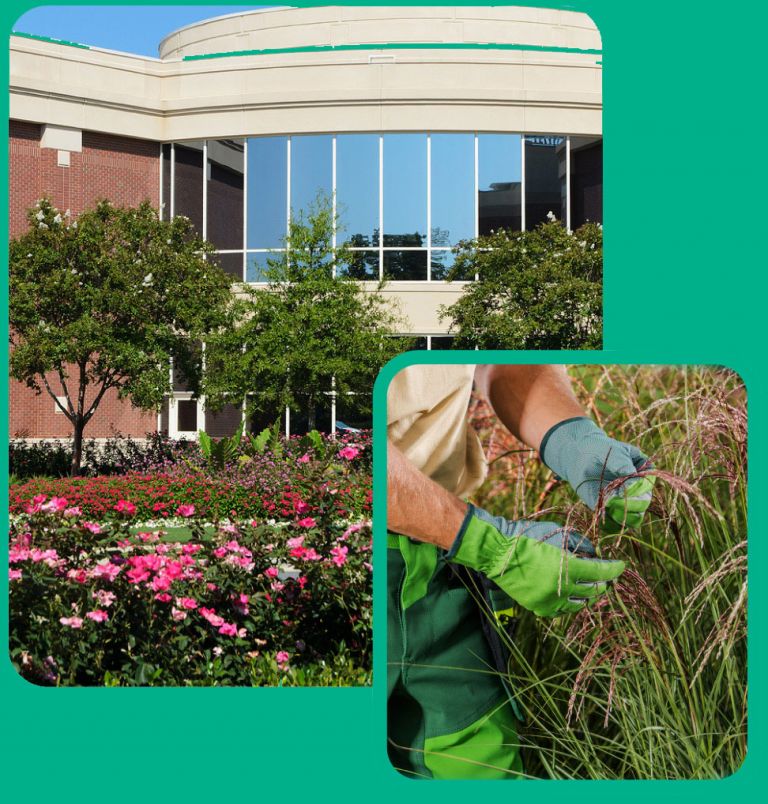 Commercial Landscape Maintenance in Wylie TX | Dyna-Mist