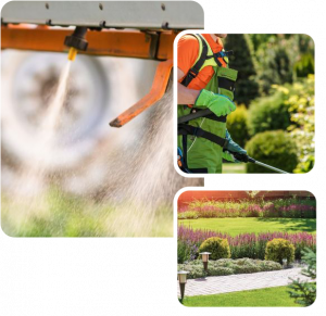 Commercial Lawn Fertilization| Dyna-Mist